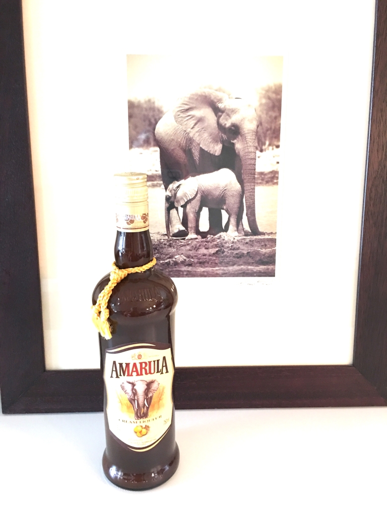 Liqueur, Elephants & Conservation | The Blonde Animal Ambassador